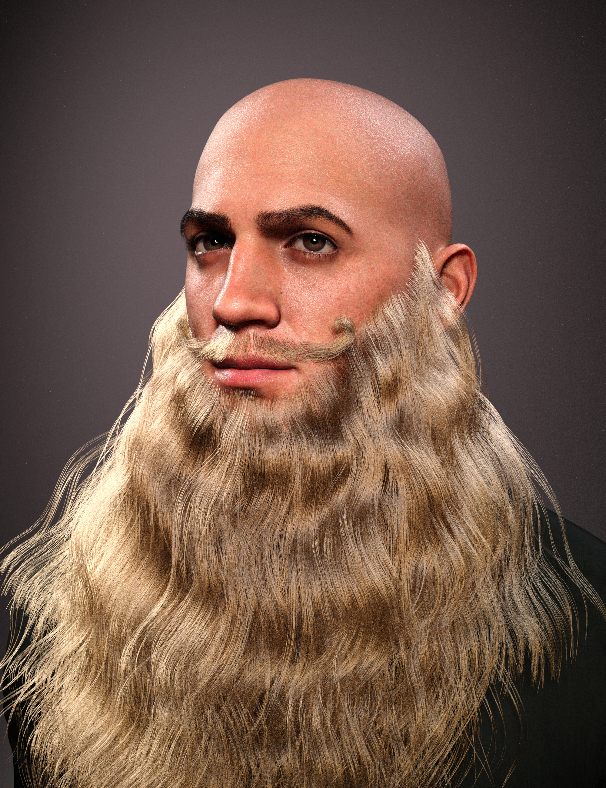 dForce FE Strand-Based Christmas Beard for Genesis 9 | Daz 3D