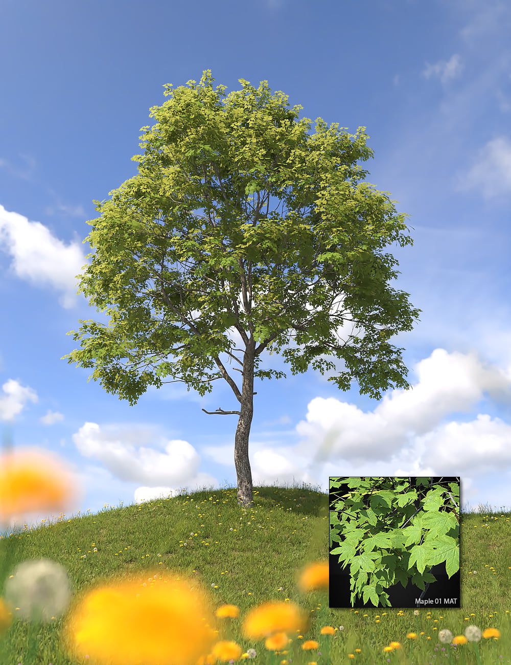UltraScenery2 - Tree Pack 1 | Daz 3D