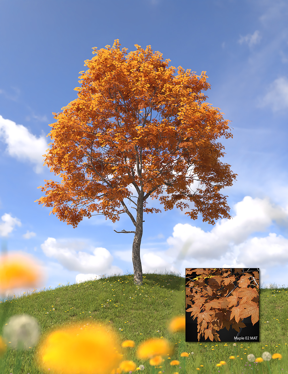 UltraScenery2 - Tree Pack 1 | Daz 3D