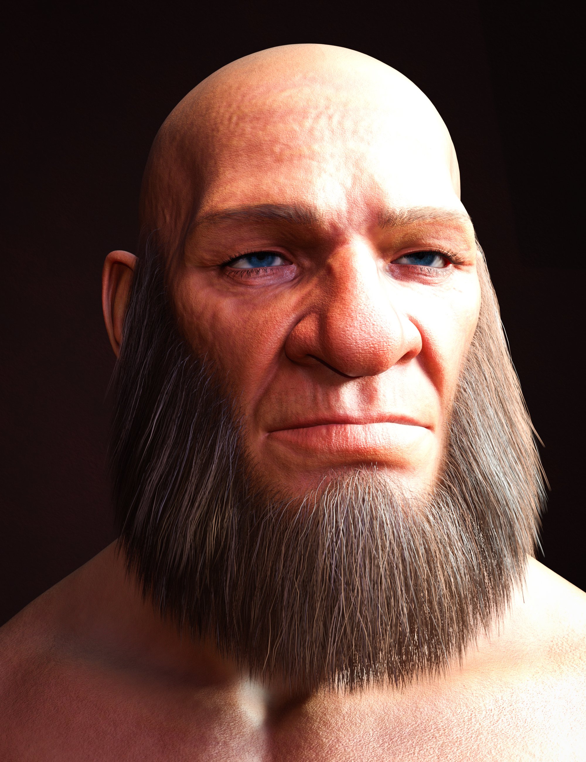 M3D Dargan Character and Beard for Genesis 9 | Daz 3D