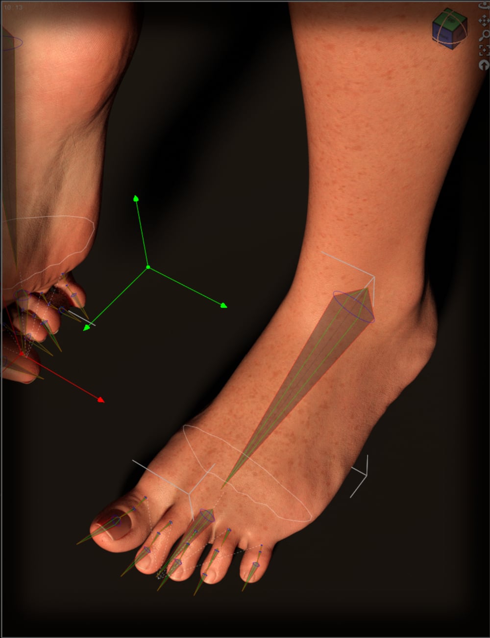 SY More Toe Bones Genesis 9 | Daz 3D