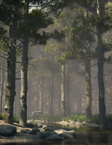 Botanicals : Pine Trees | Daz 3D