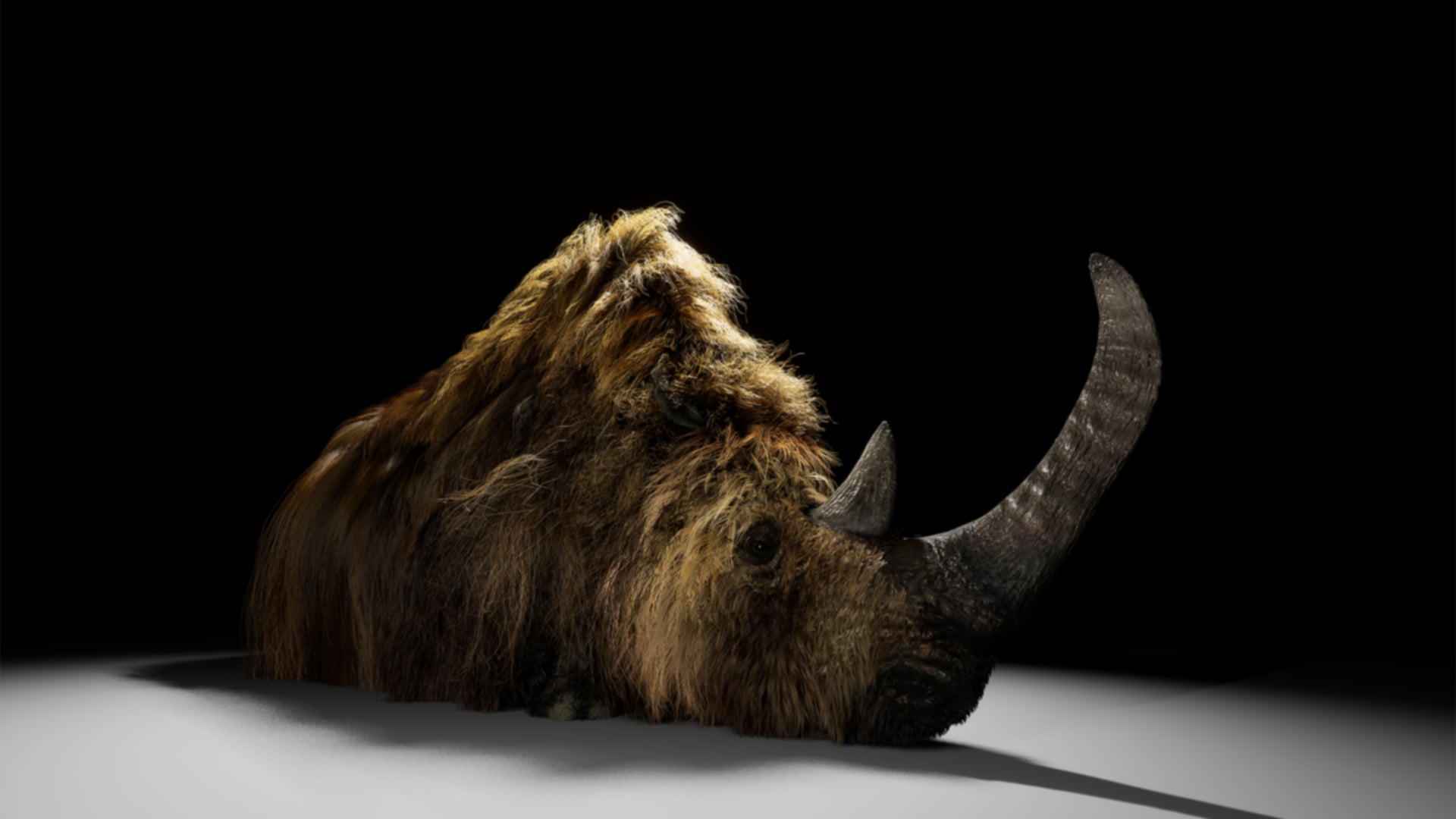 Woolly Rhino by AM | Daz 3D