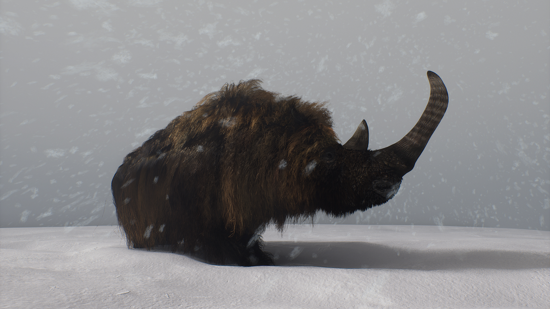 Woolly Rhino by AM | Daz 3D