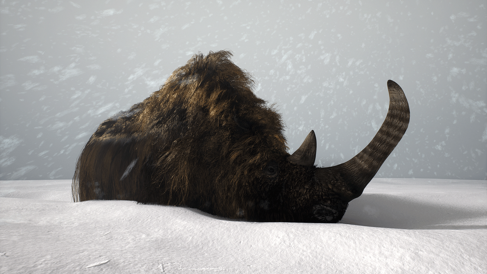 Woolly Rhino by AM | Daz 3D