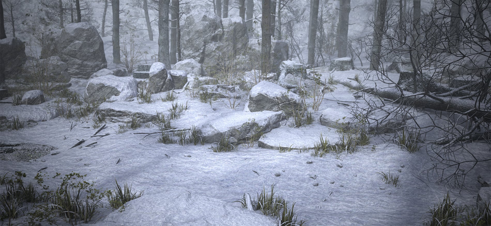 Winter Forest | Daz 3D