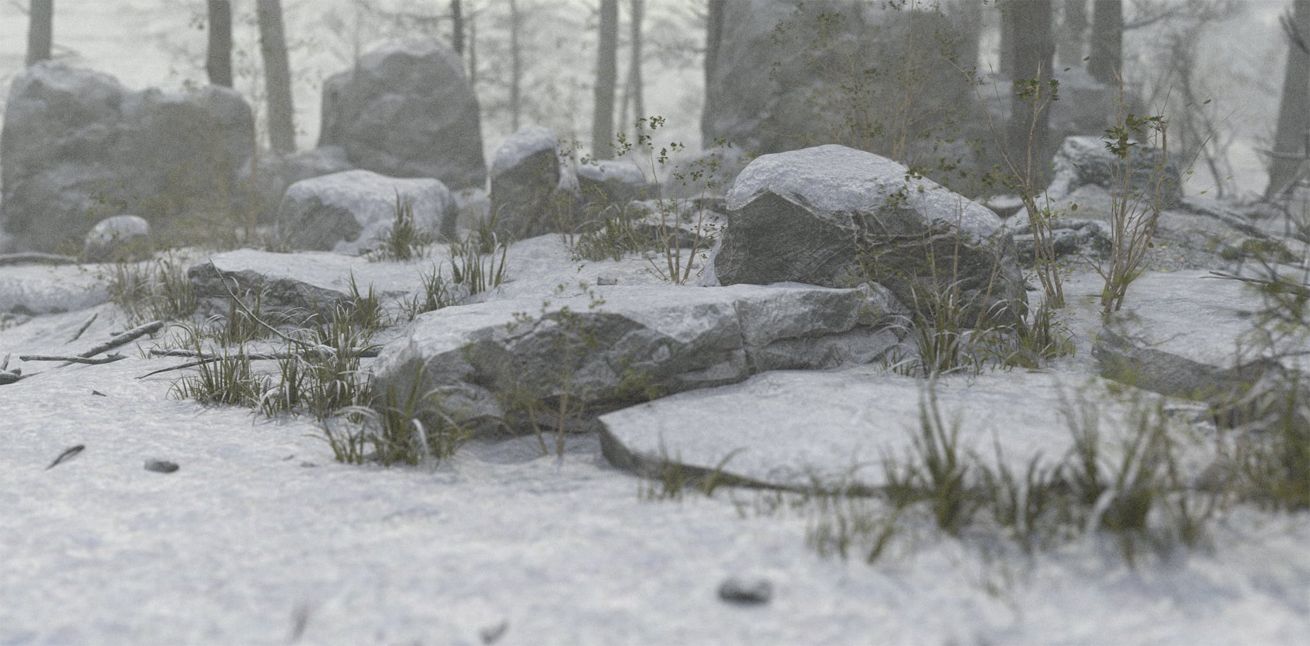 Winter Forest | Daz 3D