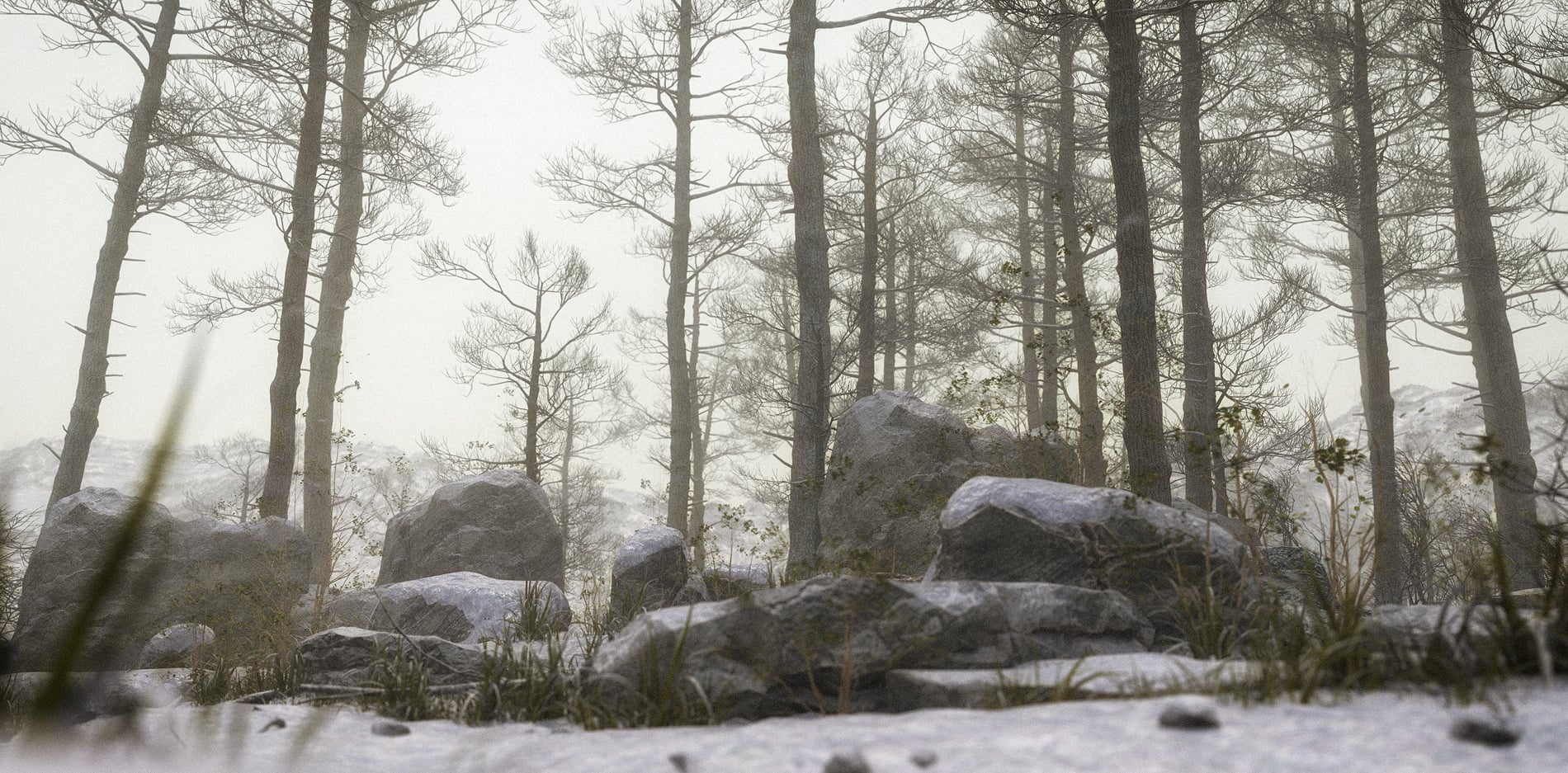 Winter Forest | Daz 3D