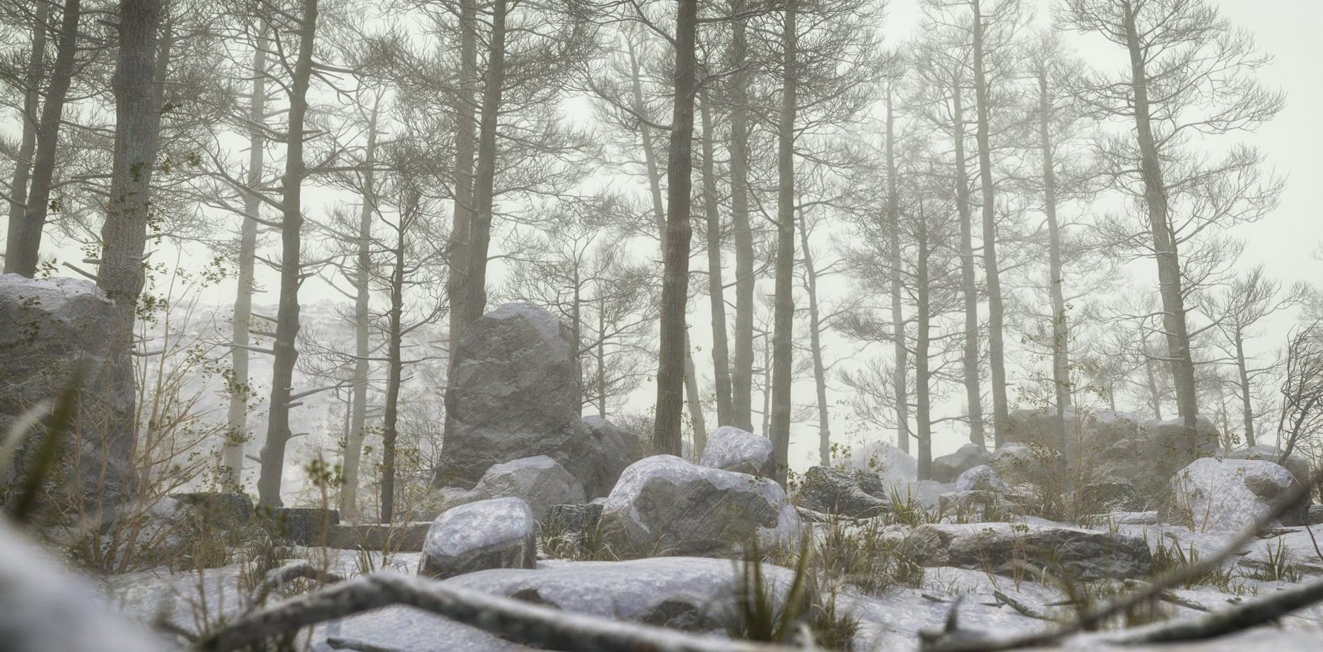 Winter Forest | Daz 3D