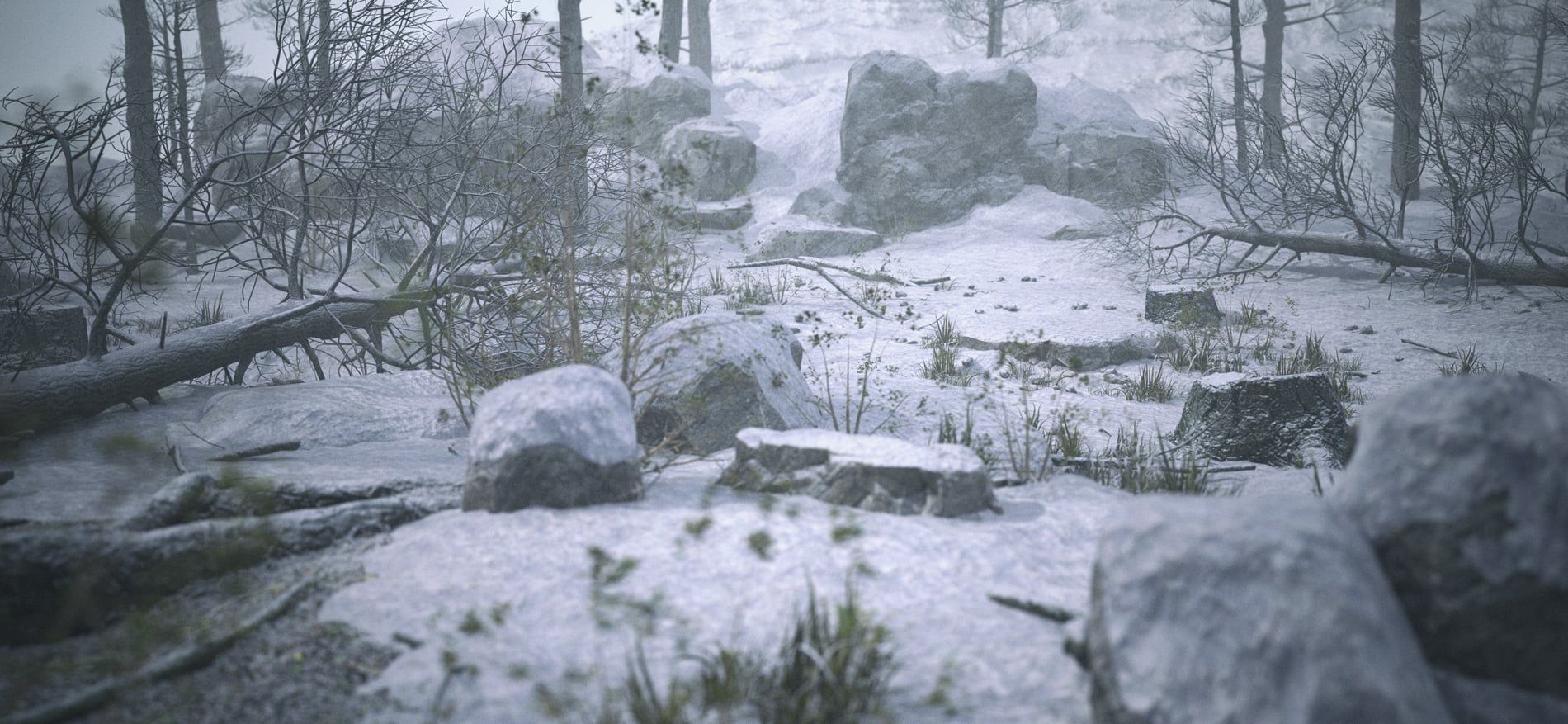 Winter Forest | Daz 3D