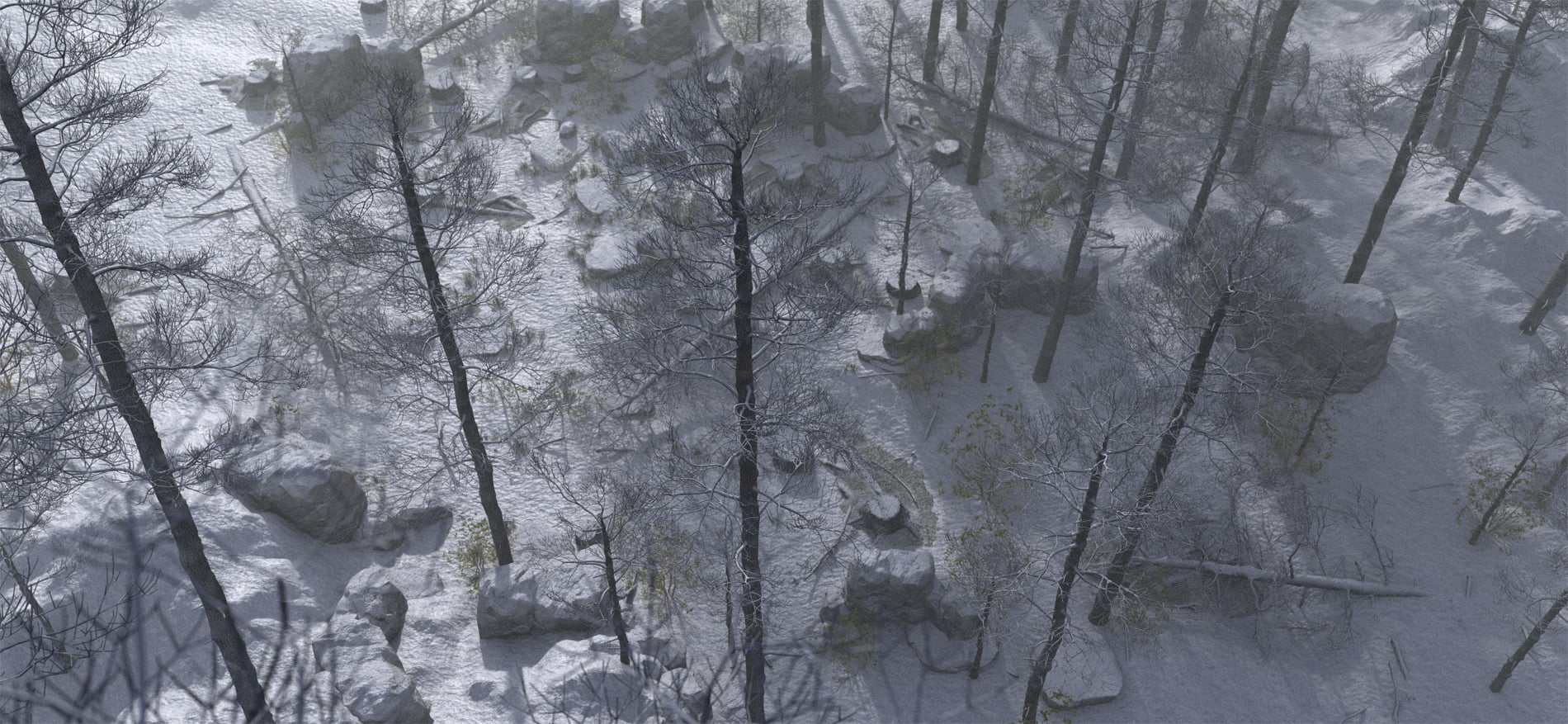 Winter Forest | Daz 3D