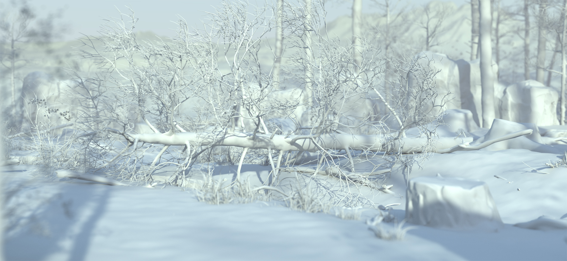 Winter Forest | Daz 3D