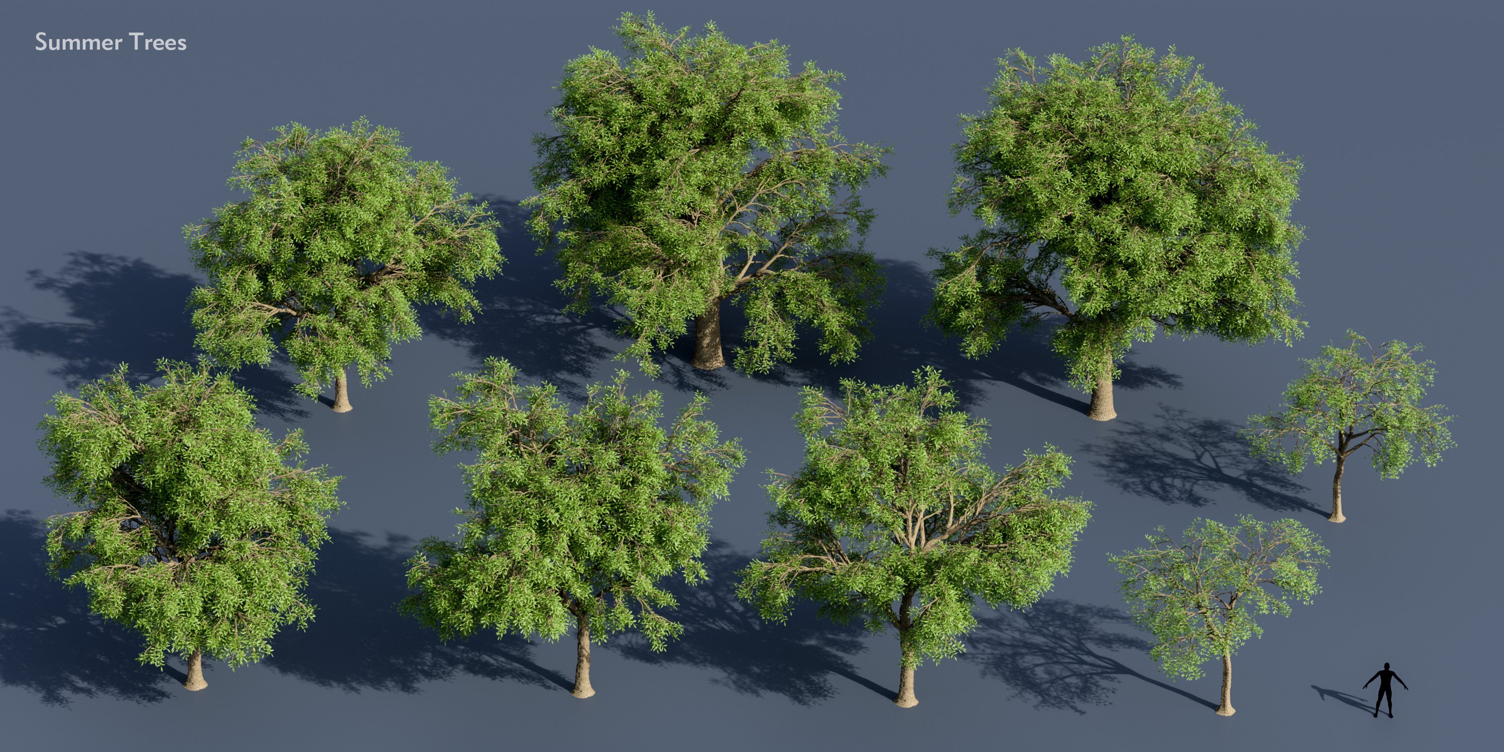 Predatron Ash Trees II | Daz 3D
