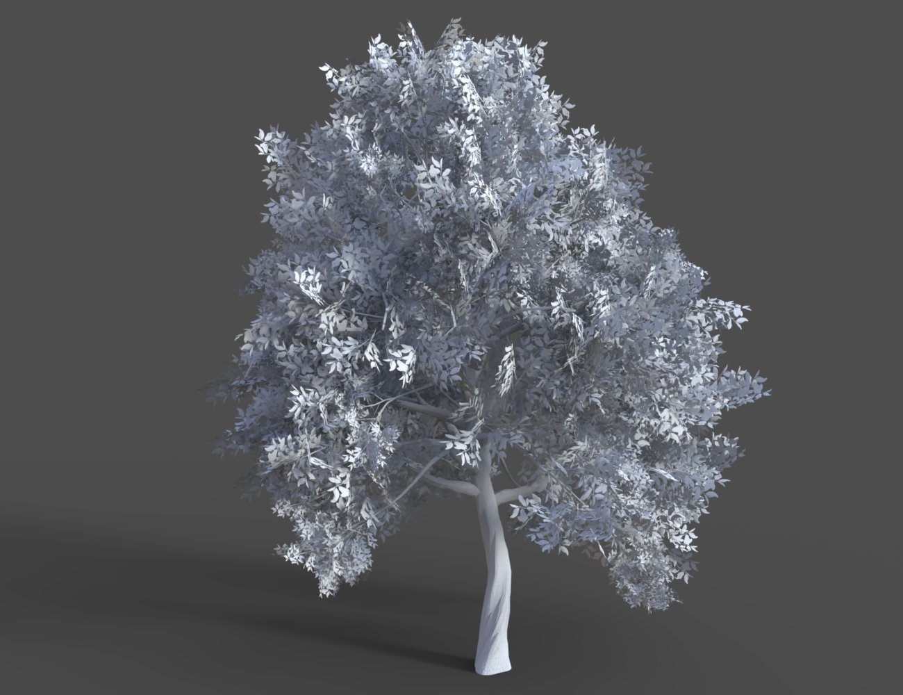 My Special Tree | Daz 3D