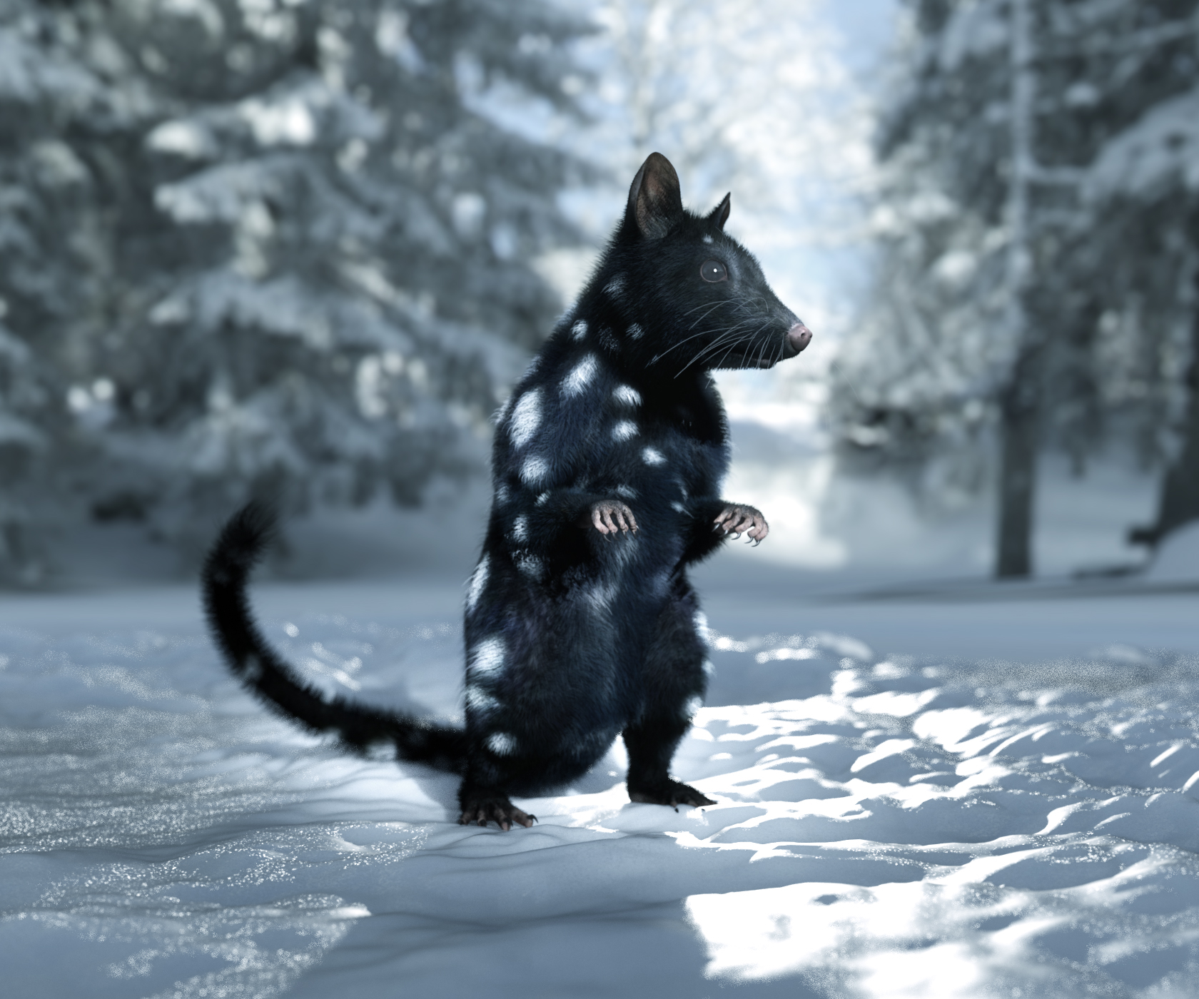 Quoll by AM | Daz 3D