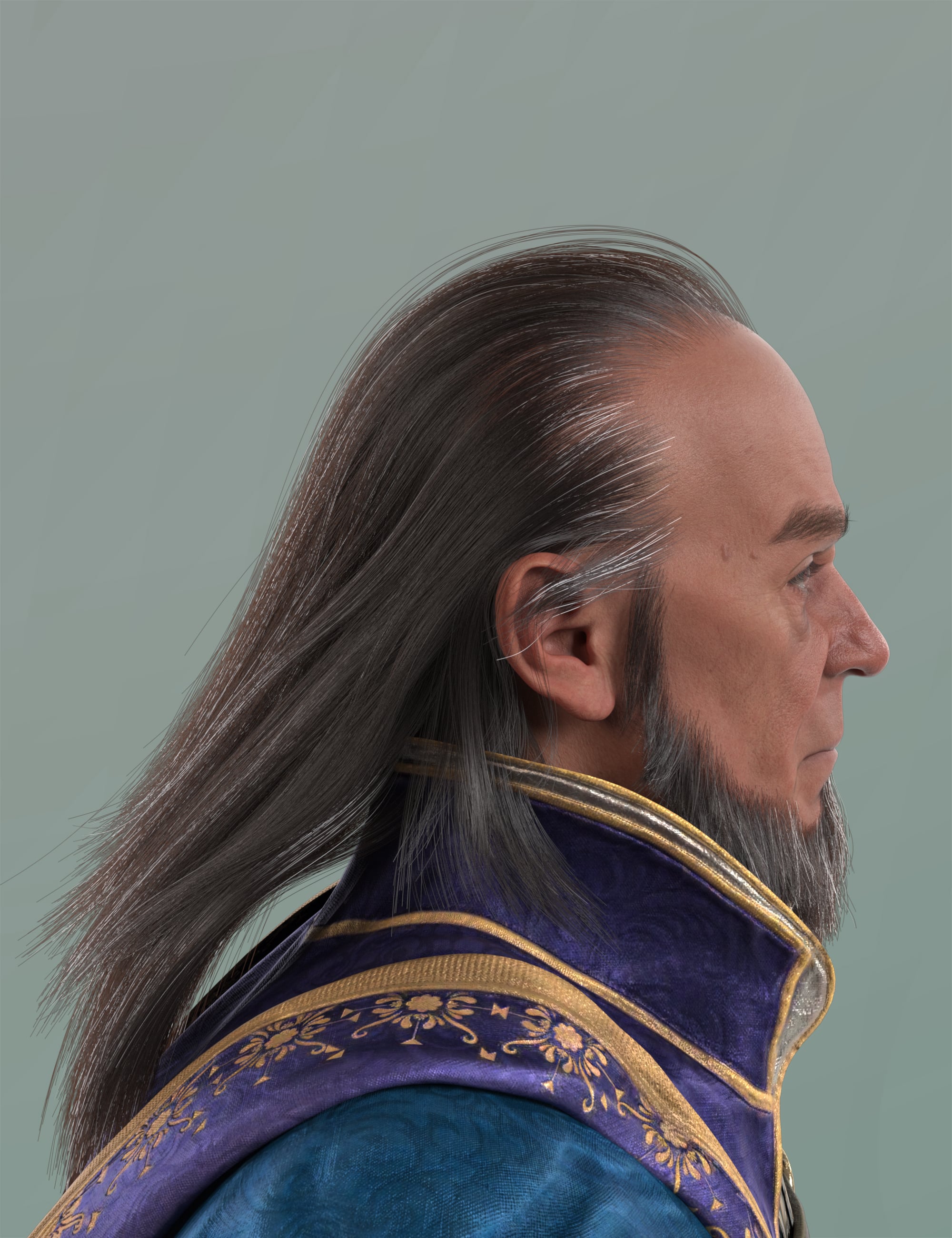 XYZ Evil Old Man's Hair for Genesis 9 | Daz 3D