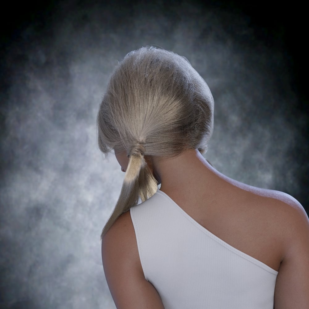 dForce Jolyene Low Piggy Tails Set for Genesis 9 | Daz 3D