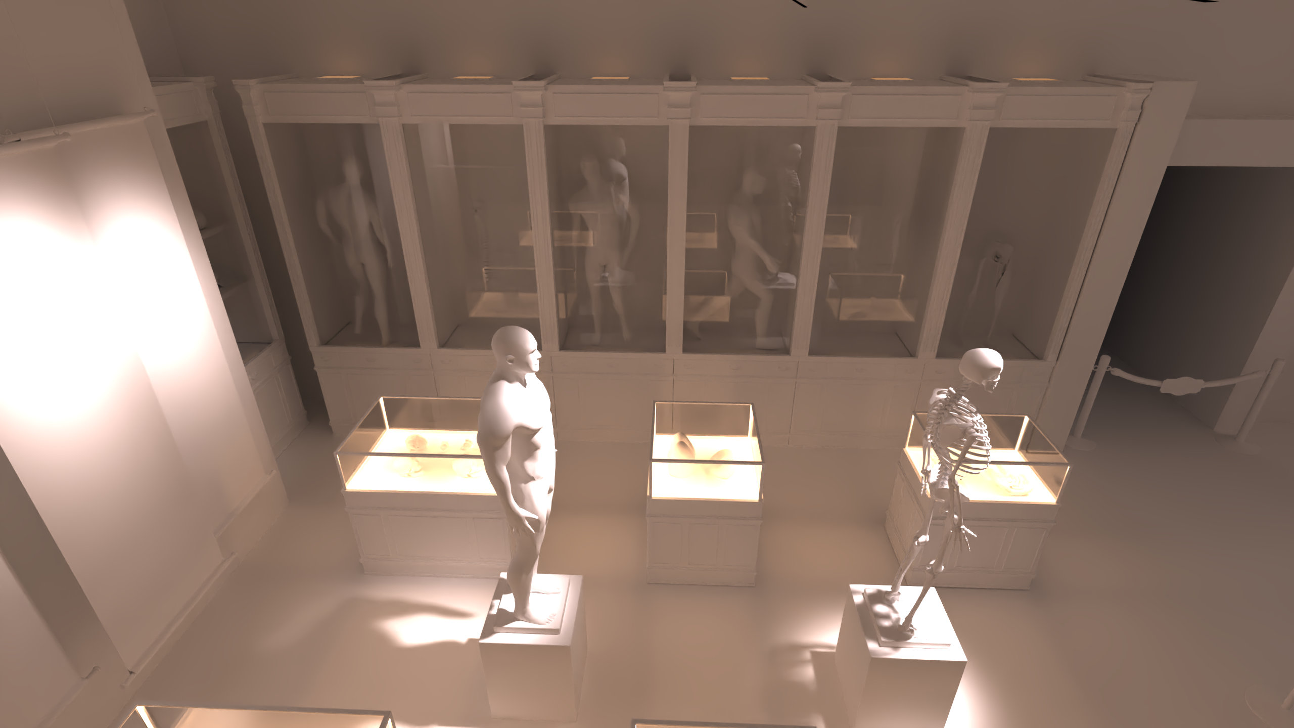 Human Body Exhibit | Daz 3D