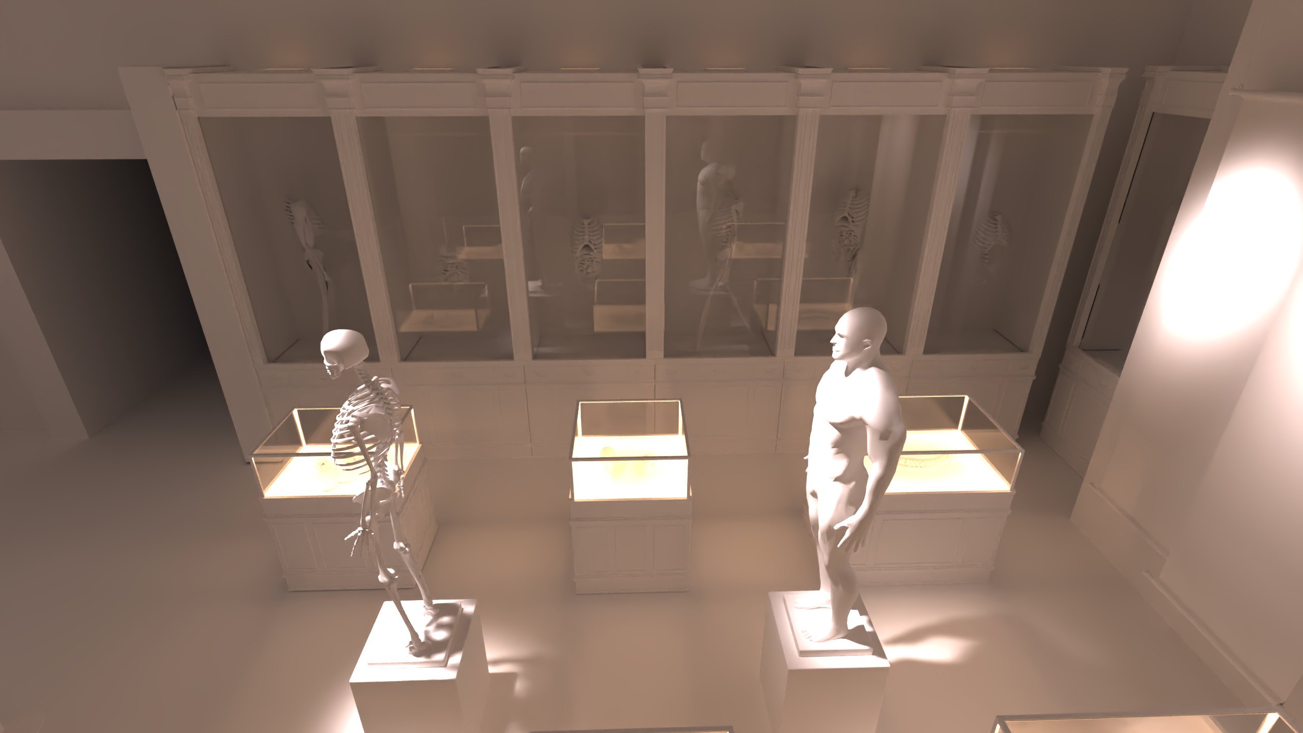 Human Body Exhibit | Daz 3D