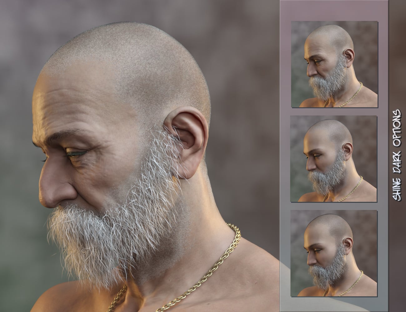AB Natural Hair Shaders | Daz 3D