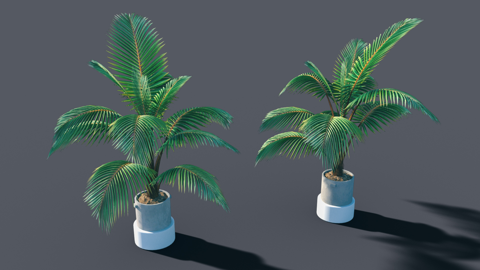 Simple Photoshoot Backdrop Bundle 01 | Daz 3D
