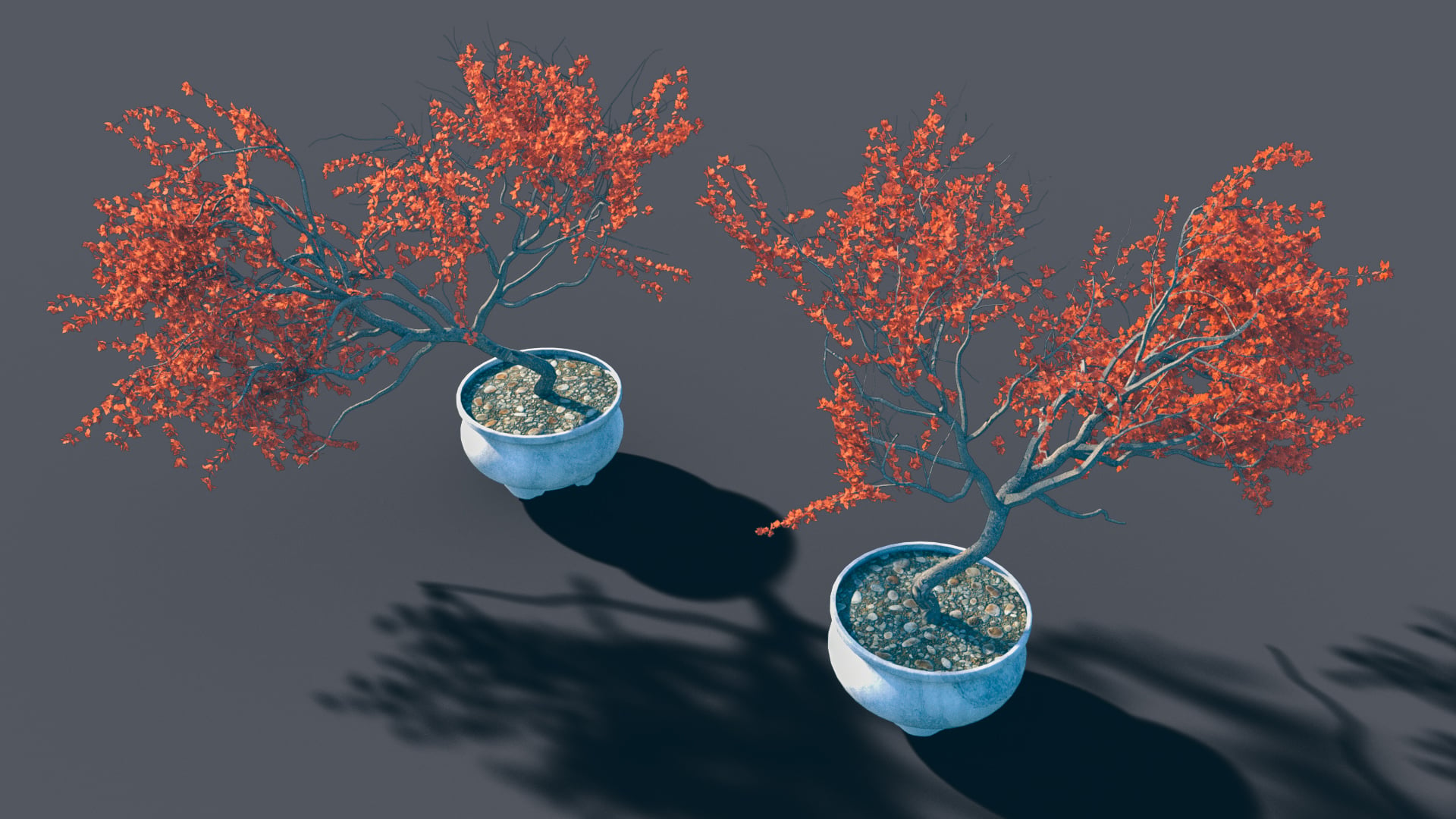 Simple Photoshoot Backdrop Bundle 01 | Daz 3D