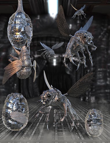 Vampire Fly | Daz 3D