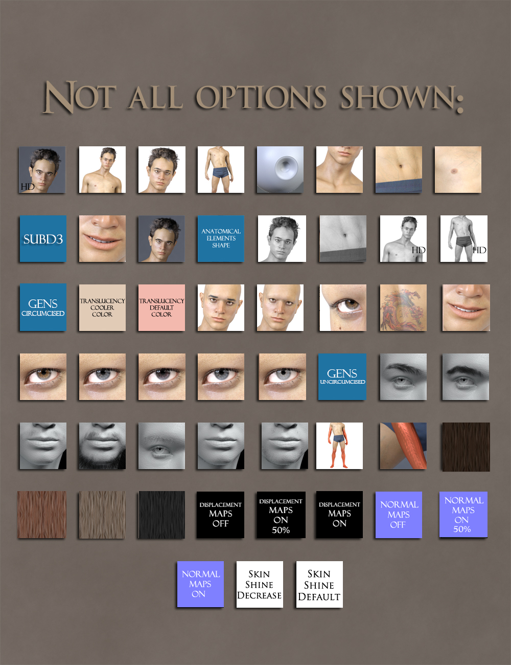 Phx Han HD for Genesis 9 Masculine | Daz 3D