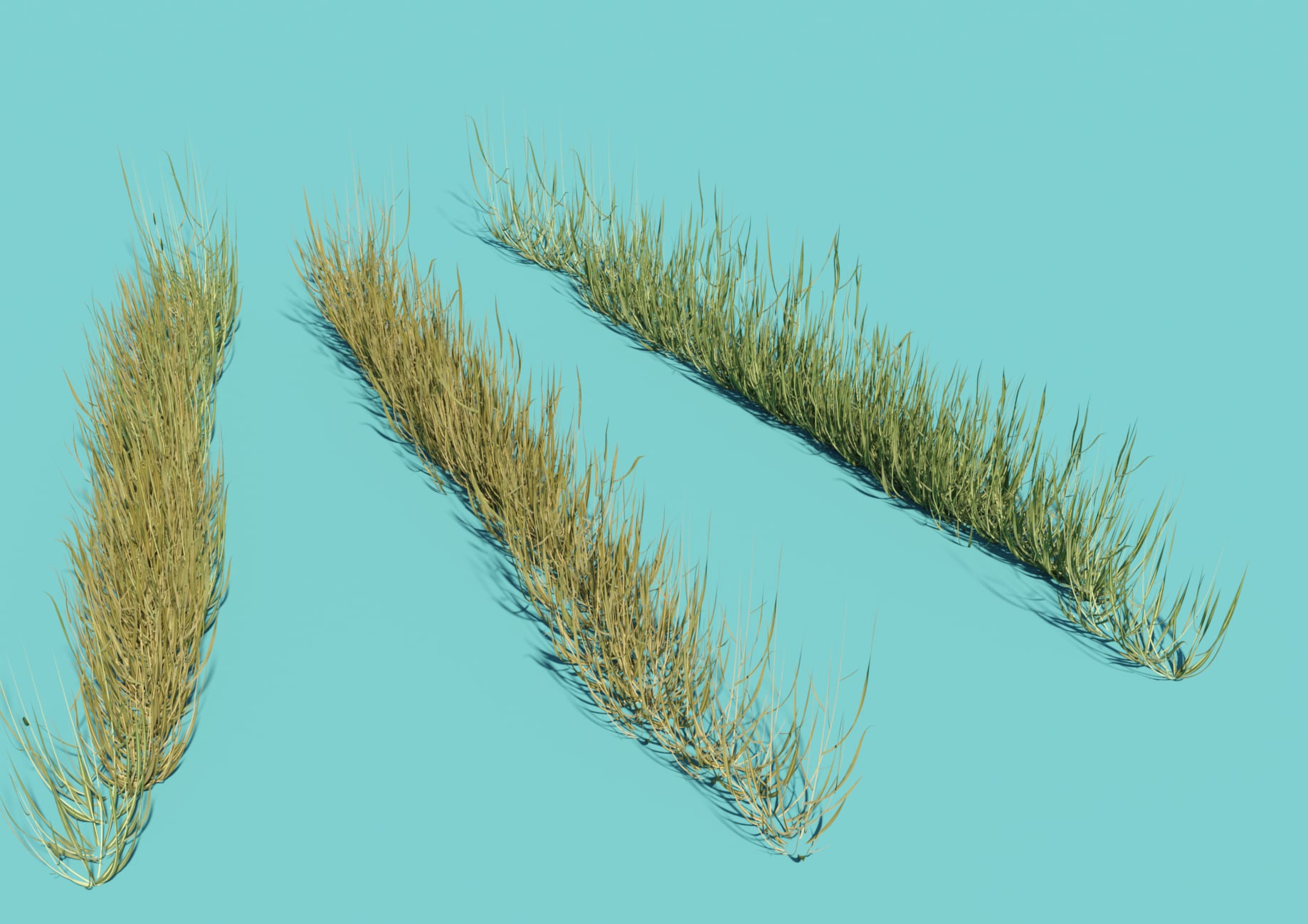 Grass - Crack Fillers and Clumps | Daz 3D