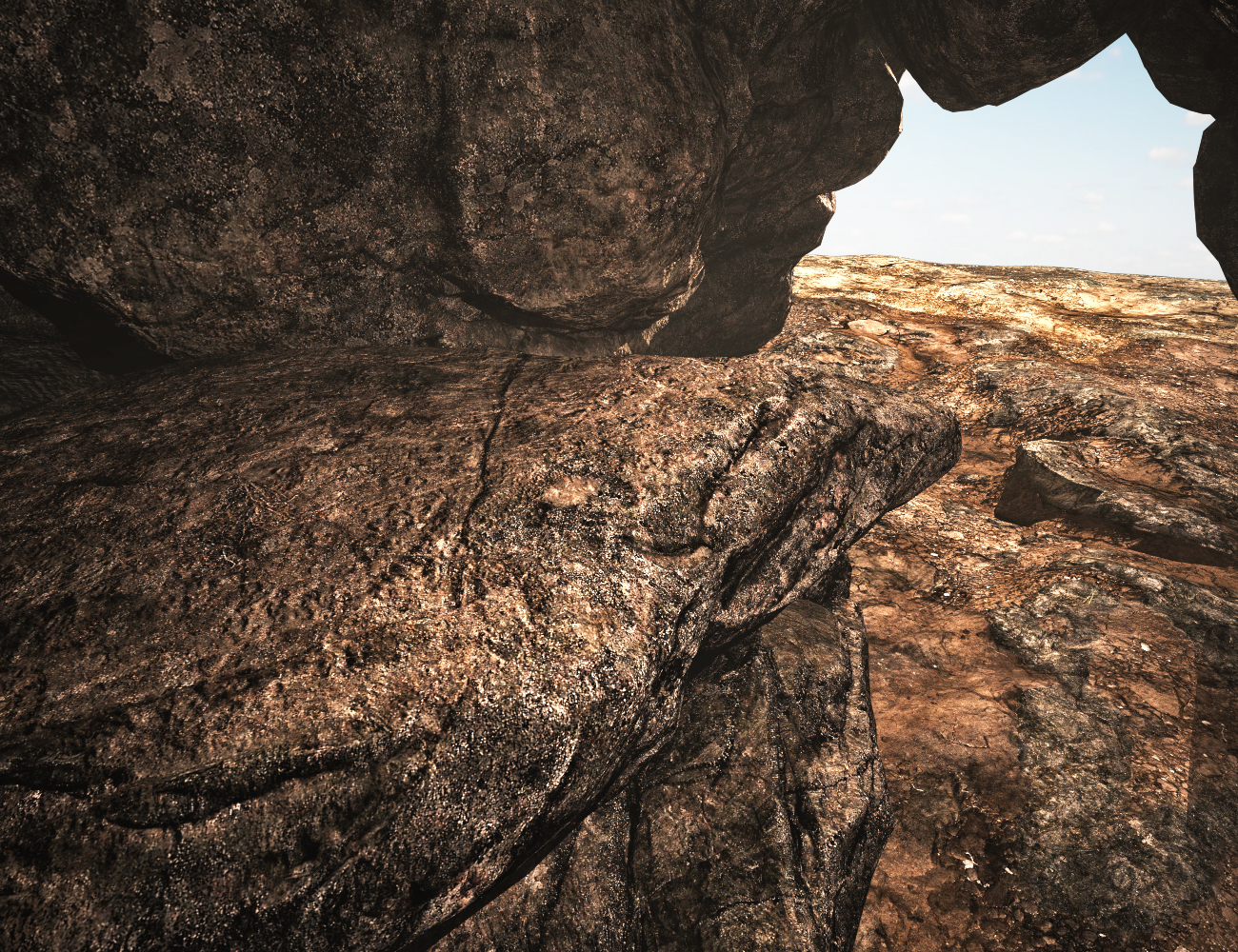 XI African Wildlands Den | Daz 3D