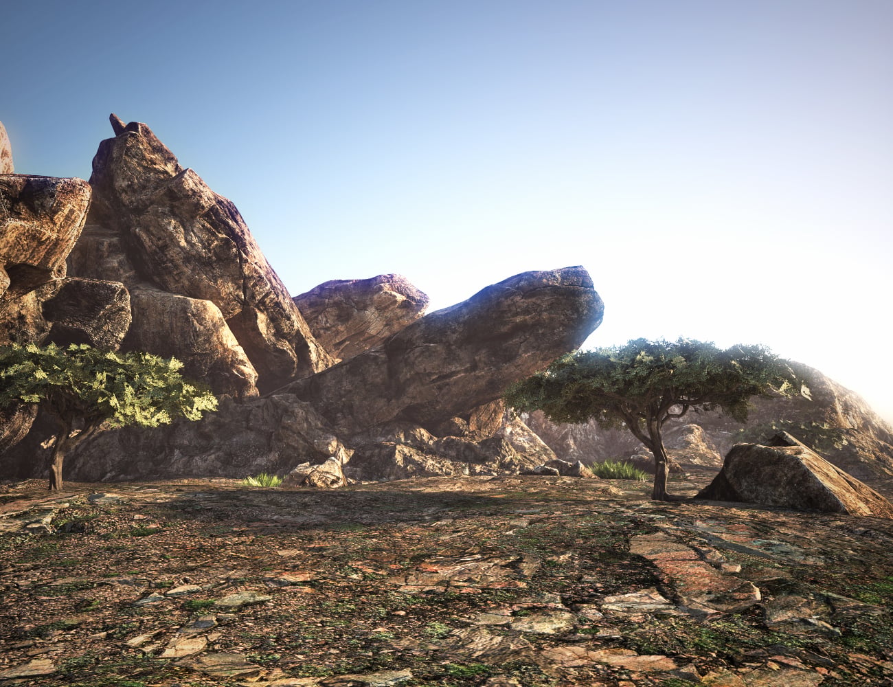 XI African Wildlands View Rock | Daz 3D
