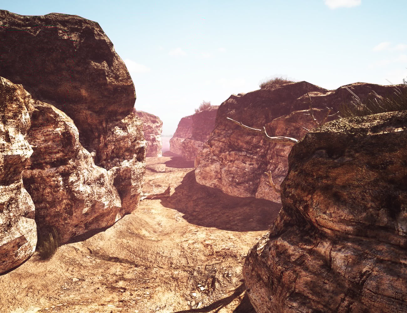 XI African Wildlands Gorge | Daz 3D