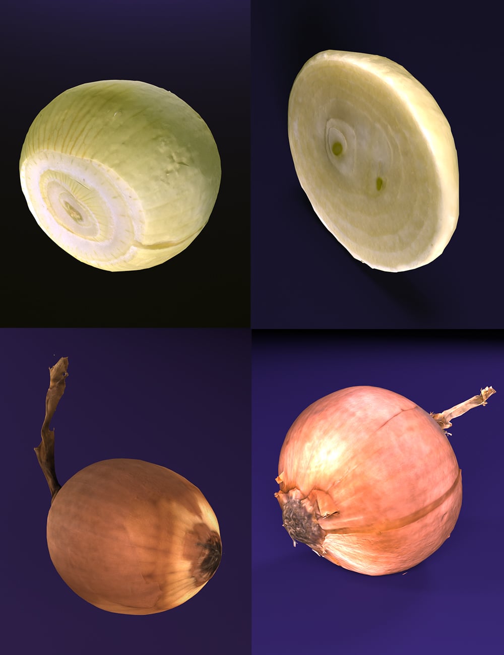 Cutting Onions Props and Poses for Genesis 9 | Daz 3D
