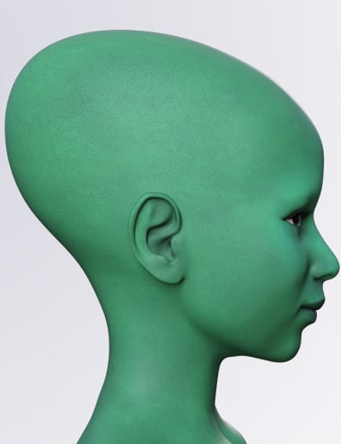 Head Morphs for Genesis 9 | Daz 3D