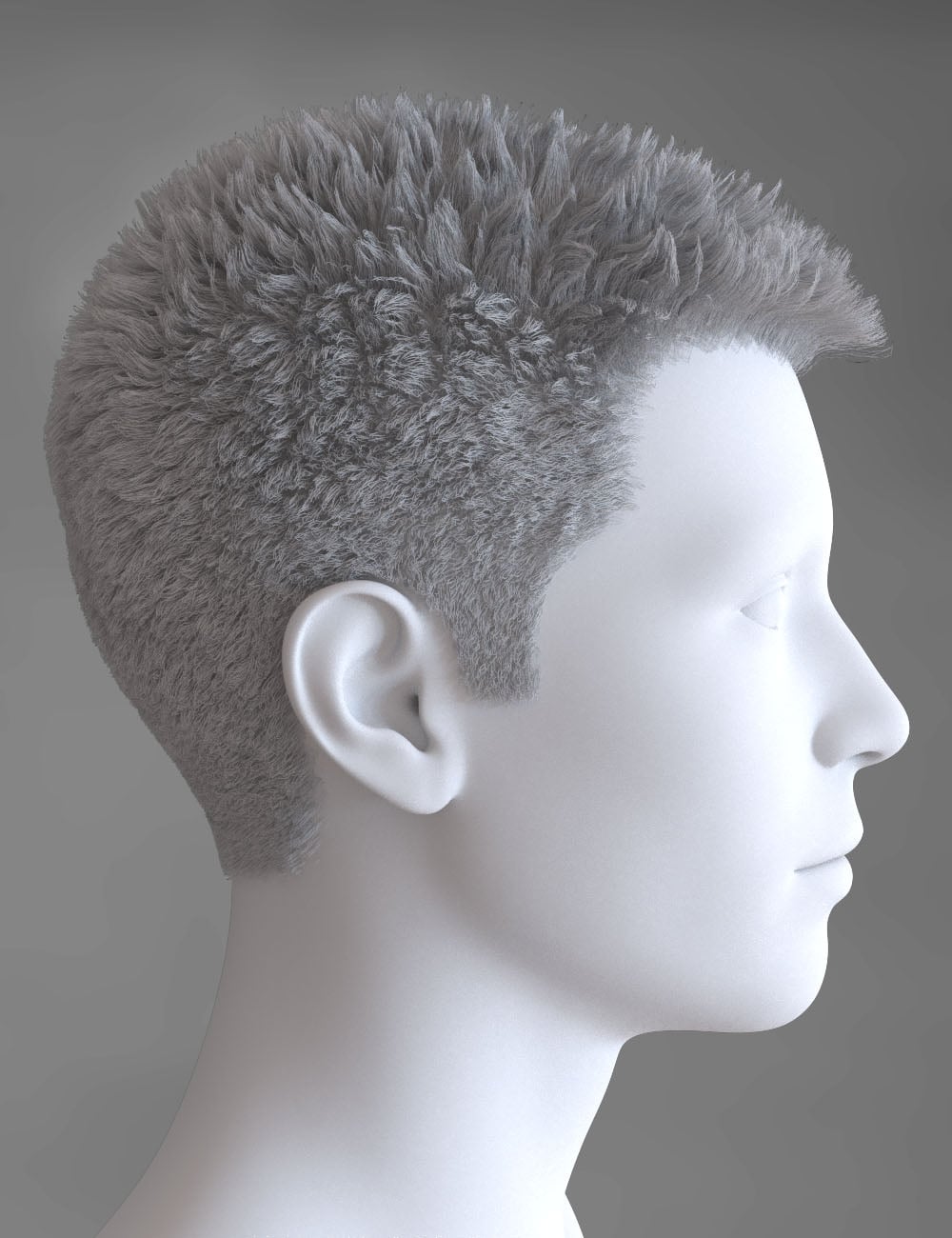 EZ dForce Larry Hair for Genesis 9 | Daz 3D