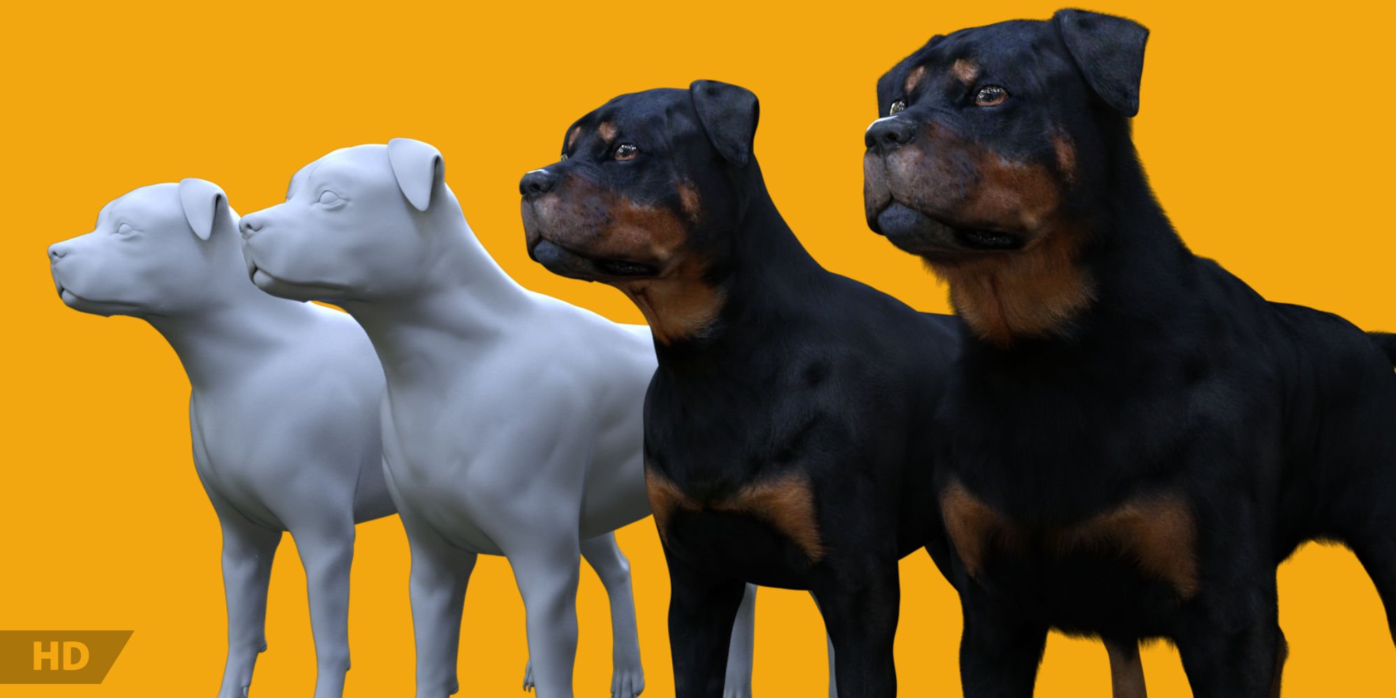 DA Rottweiler for Daz Dog 8 | Daz 3D