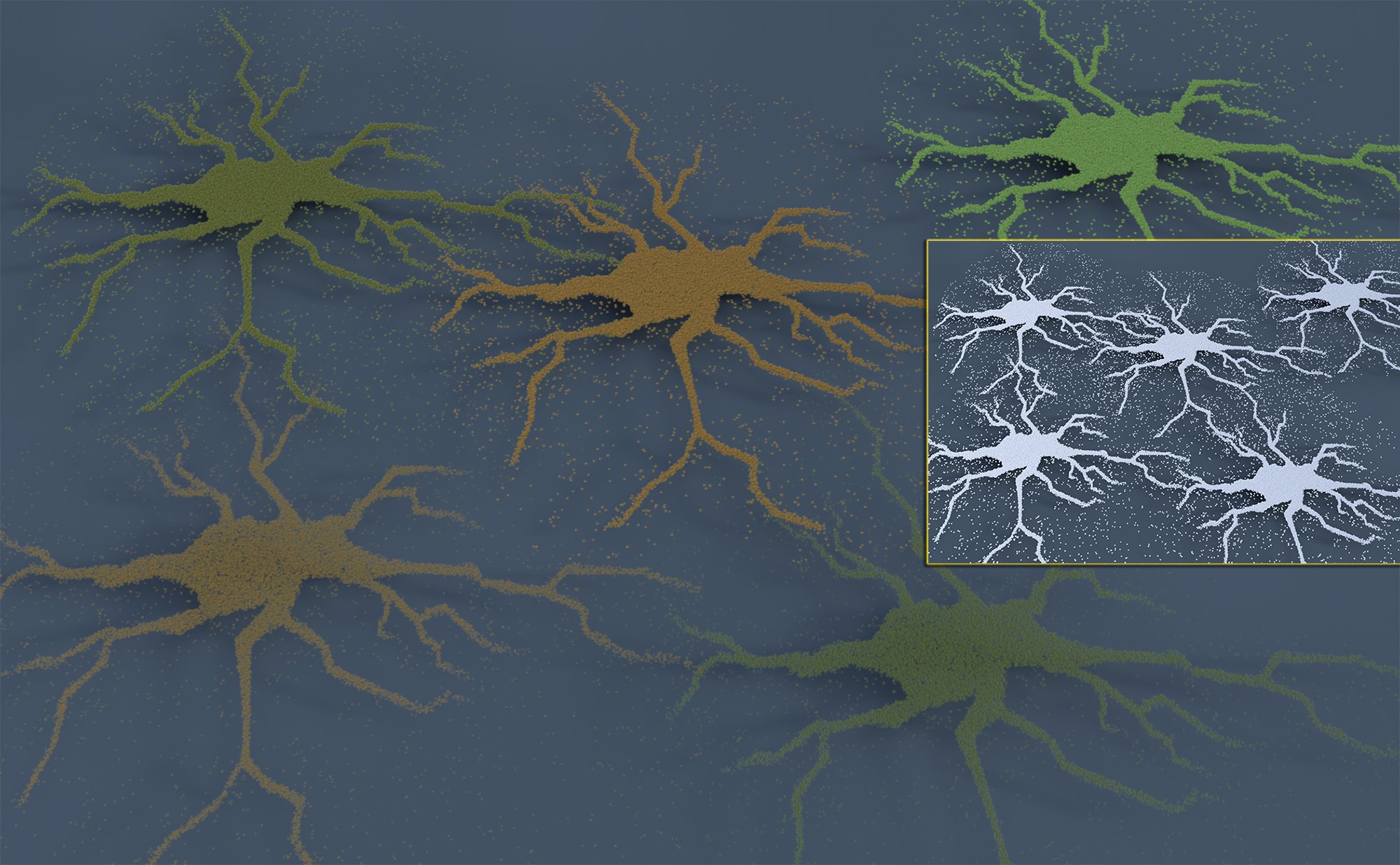 Moss System | Daz 3D