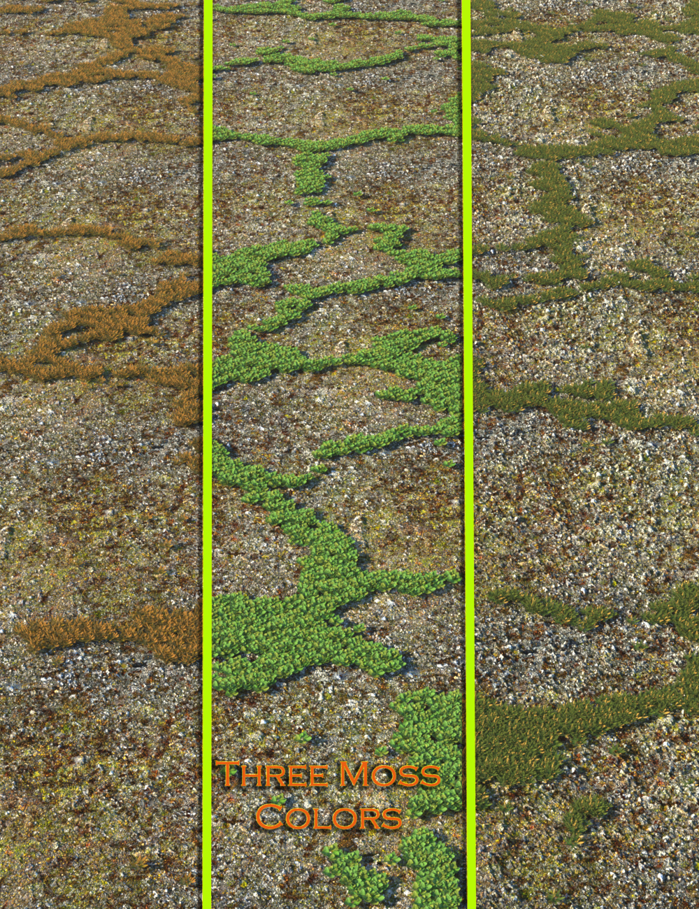 Moss System | Daz 3D