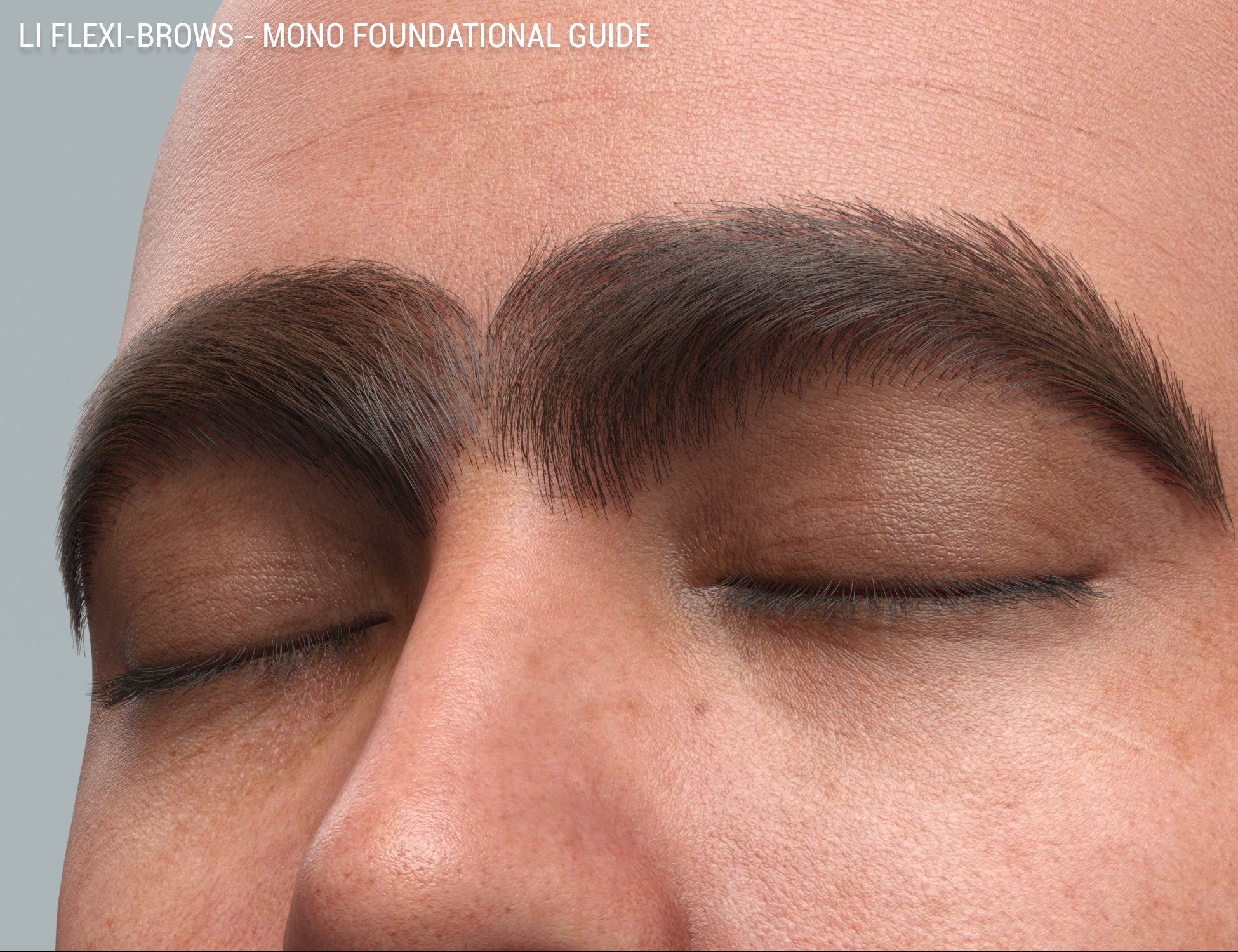 LI Flexi-Brows for Genesis 9 | Daz 3D