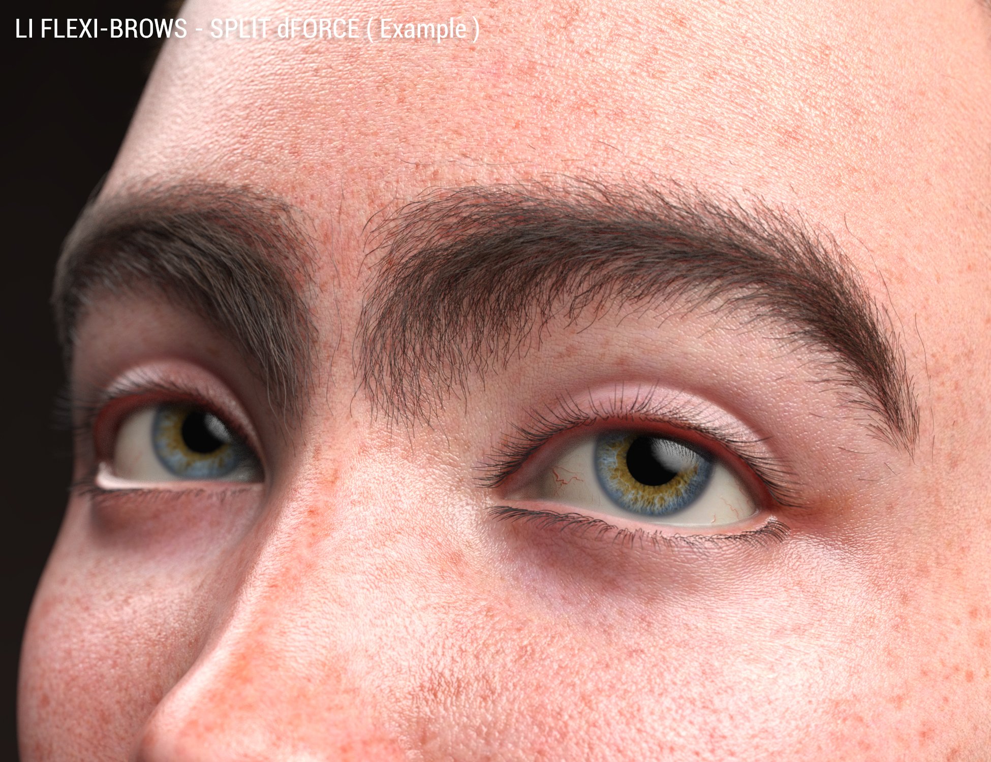 LI Flexi-Brows for Genesis 9 | Daz 3D