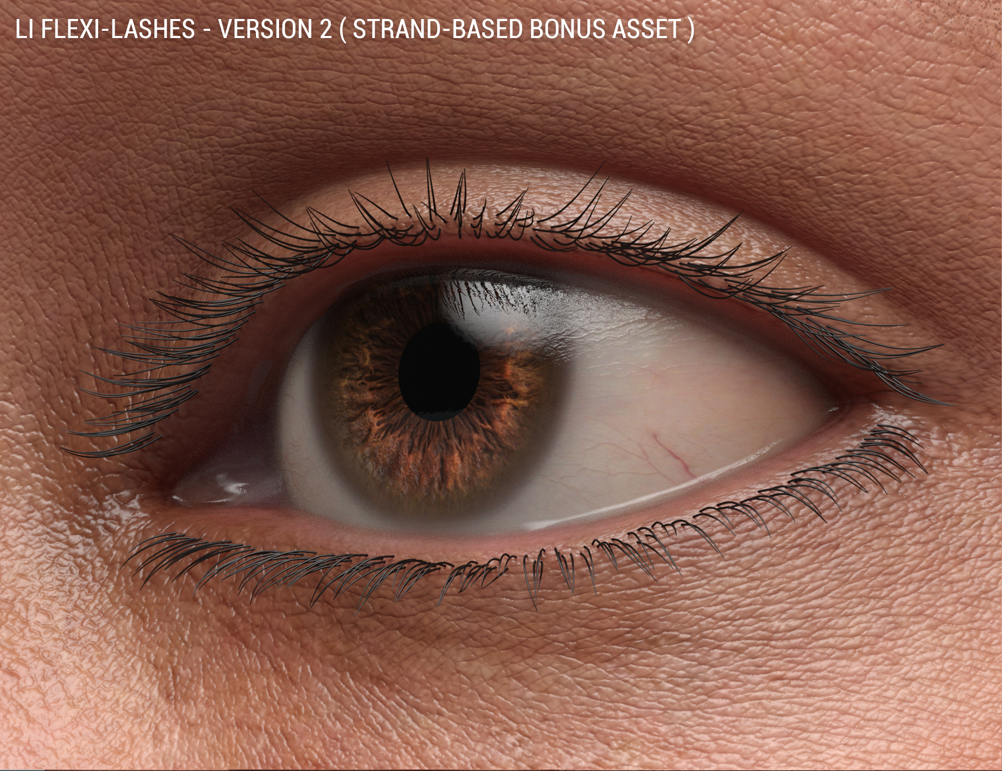 LI Flexi-Brows for Genesis 9 | Daz 3D