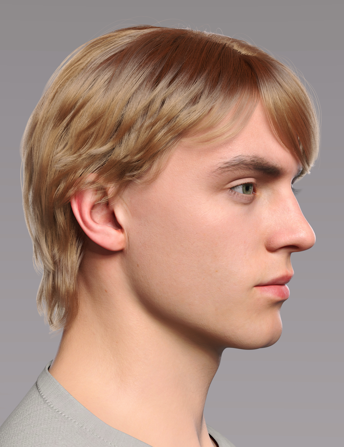 dForce Christian Hair for Genesis 9 | Daz 3D