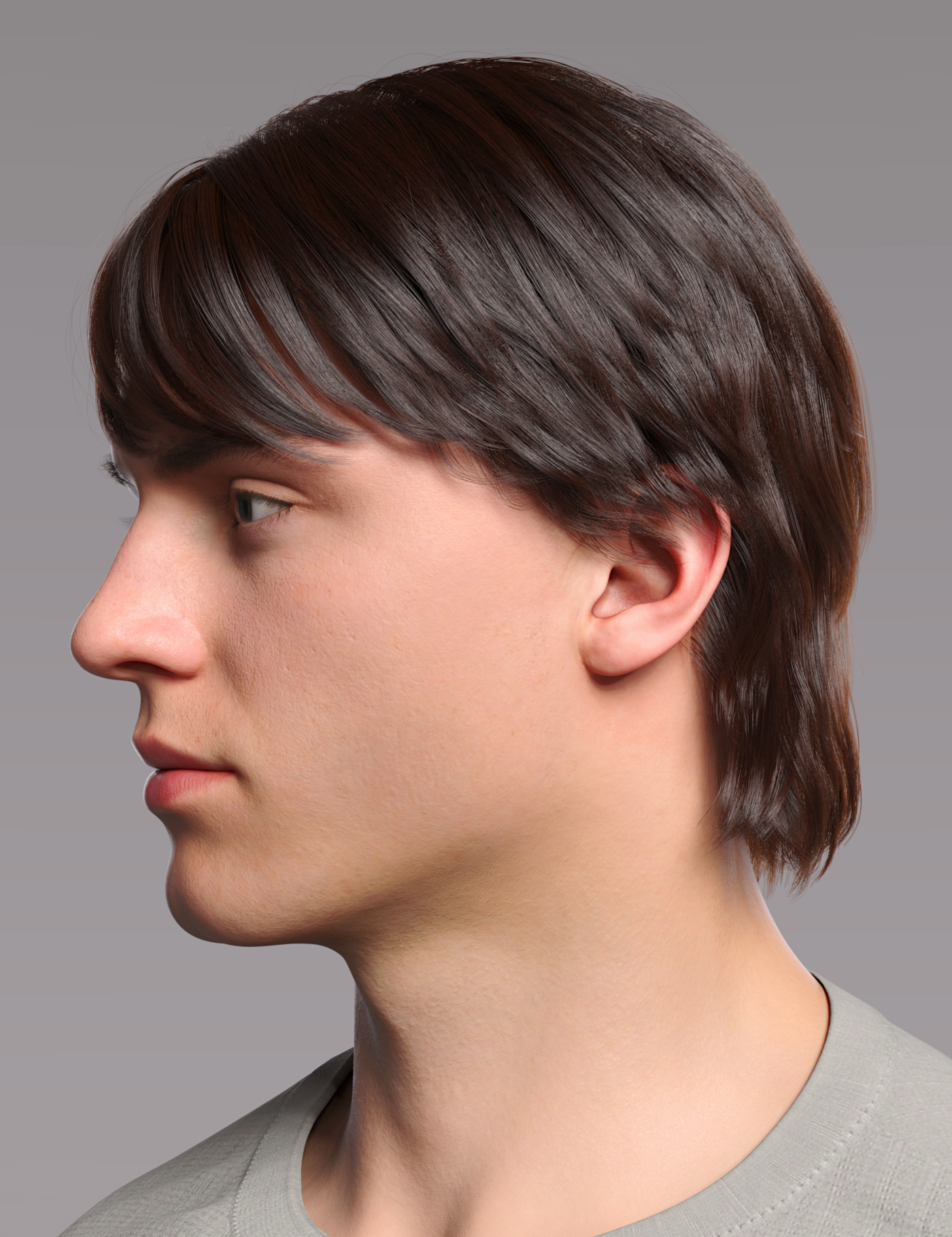 dForce Christian Hair for Genesis 9 | Daz 3D