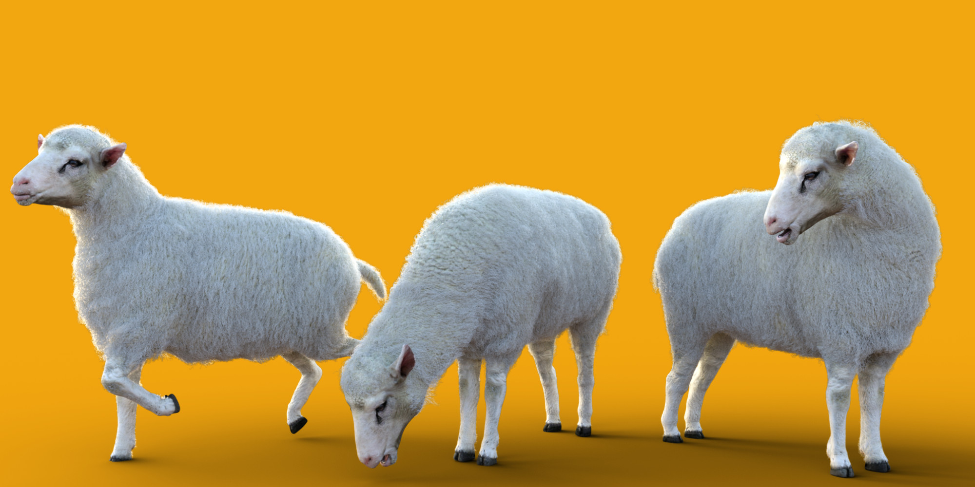 DA Sheep for Daz Horse 3 | Daz 3D