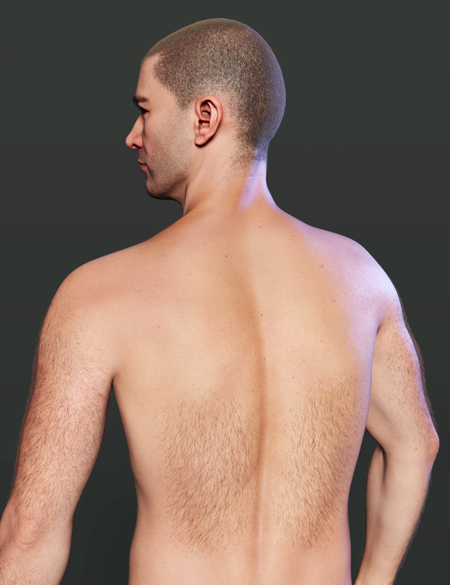 dForce Hairy Man for Genesis 9 | Daz 3D