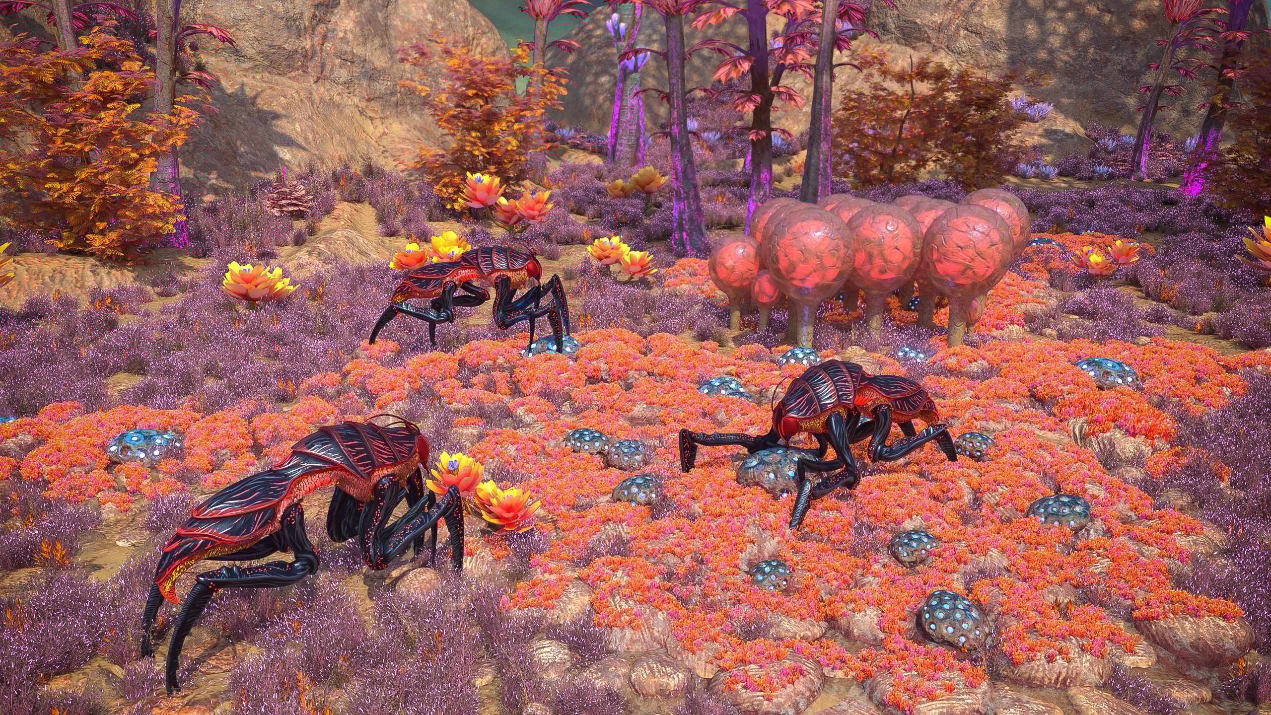 SE Animal Osa | Daz 3D