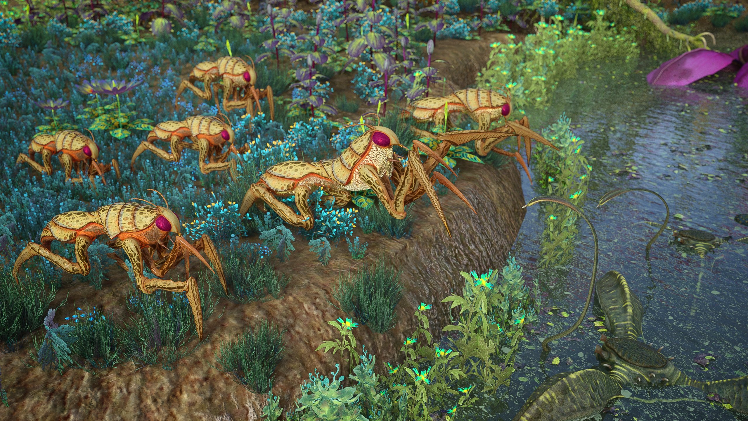 SE Animal Osa | Daz 3D