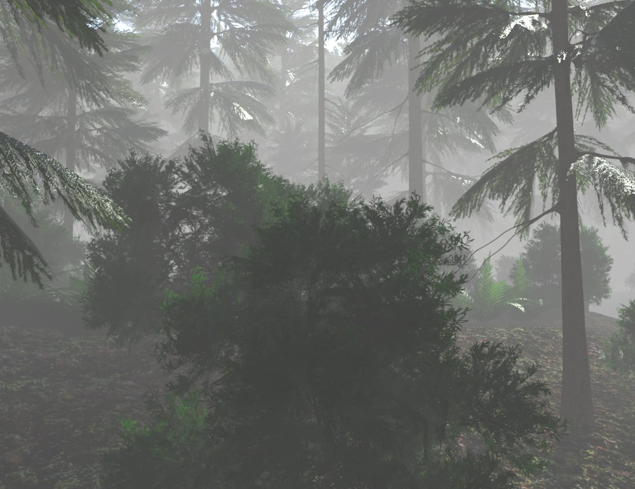 Misty Forest | Daz 3D