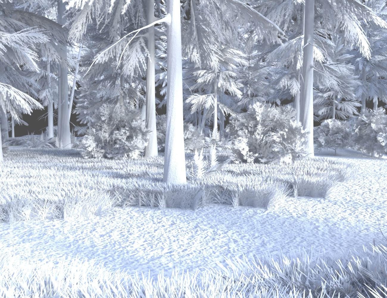 Misty Forest | Daz 3D