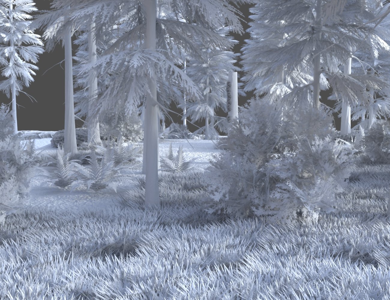 Misty Forest | Daz 3D